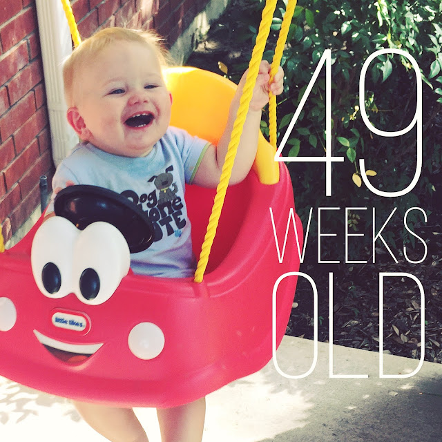 Hold the Gluten Please: 48 weeks/ 49 weeks