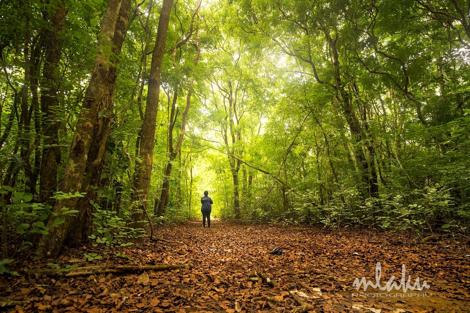 Jalan Sunyi - Baktiar [Mlaku Fotografi]