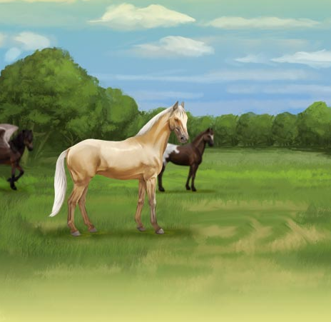 Wild Horses On Howrse Background
