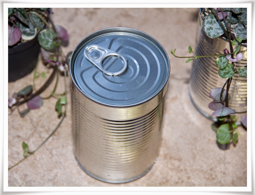 Pyssla o syssla: Blomsterkap och konservburkstrick