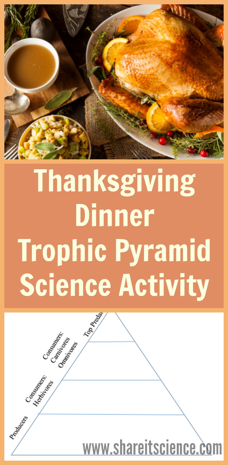 Share it! Science : Thanksgiving Dinner Trophic Pyramid Activity