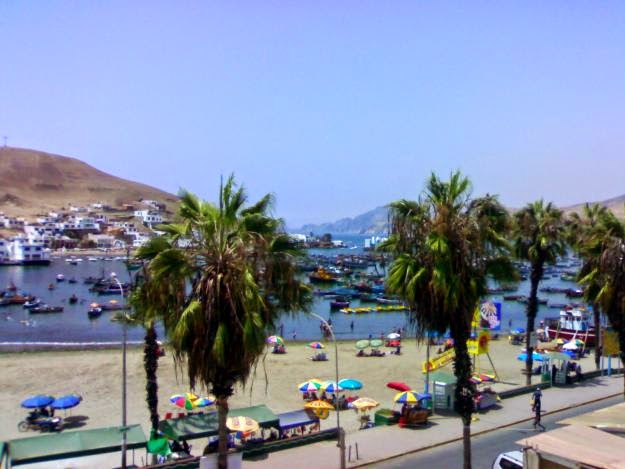 Biodiversidad del peru: Pucusana