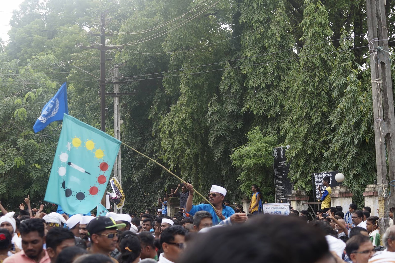 Gujarat, India the Indigenous Unity Flag throughout the State ...