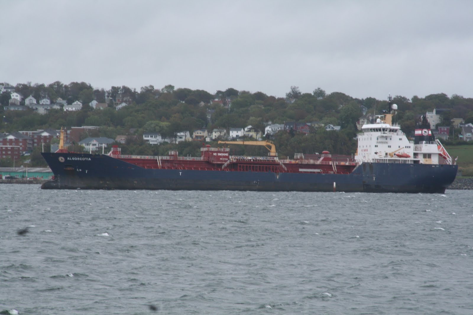 AFL | Halifax Shipping News.ca