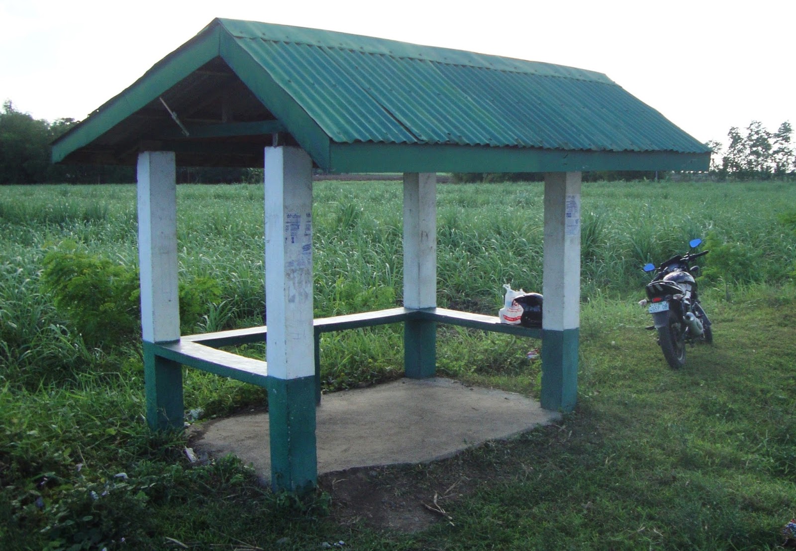 Bounder does the PI: WAITING SHADES, A FEW MEMORIES OF IOWA, AND JOE