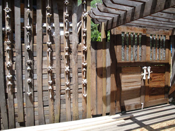 Gardening along the creek...: Dem bones, dem bones, dem soup bones...