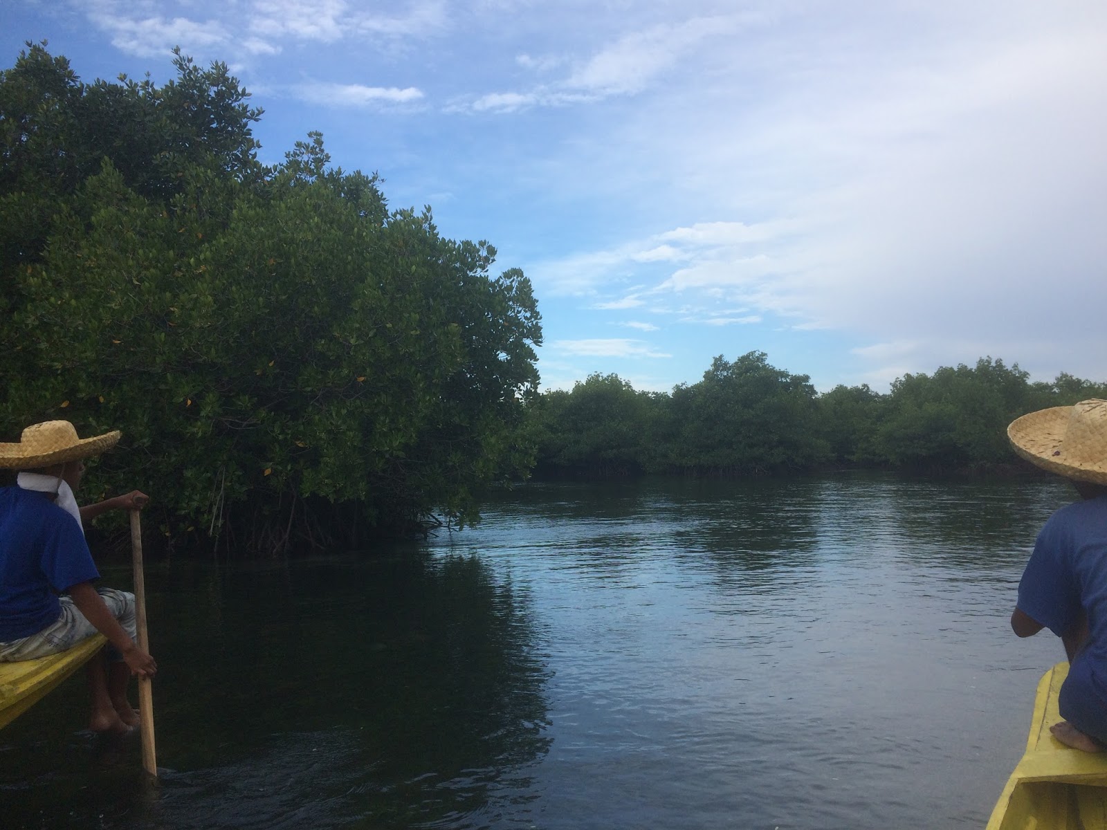 Sta. Cruz Island Mangrove-Lagoon & Stingless Jellyfish @ Sta. Cruz ...