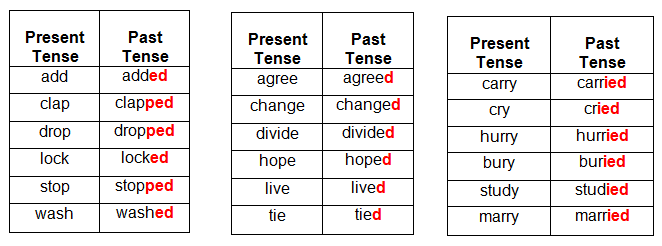 Revising Unit 8 - 1st ESO