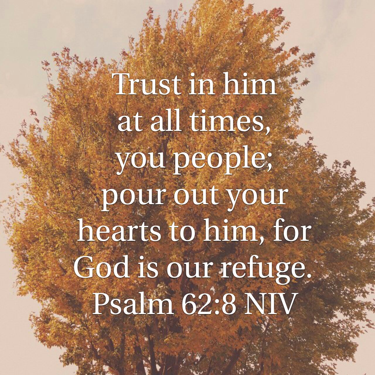 First Fruits of the Day: Psalm 62:8 - I Trust You God