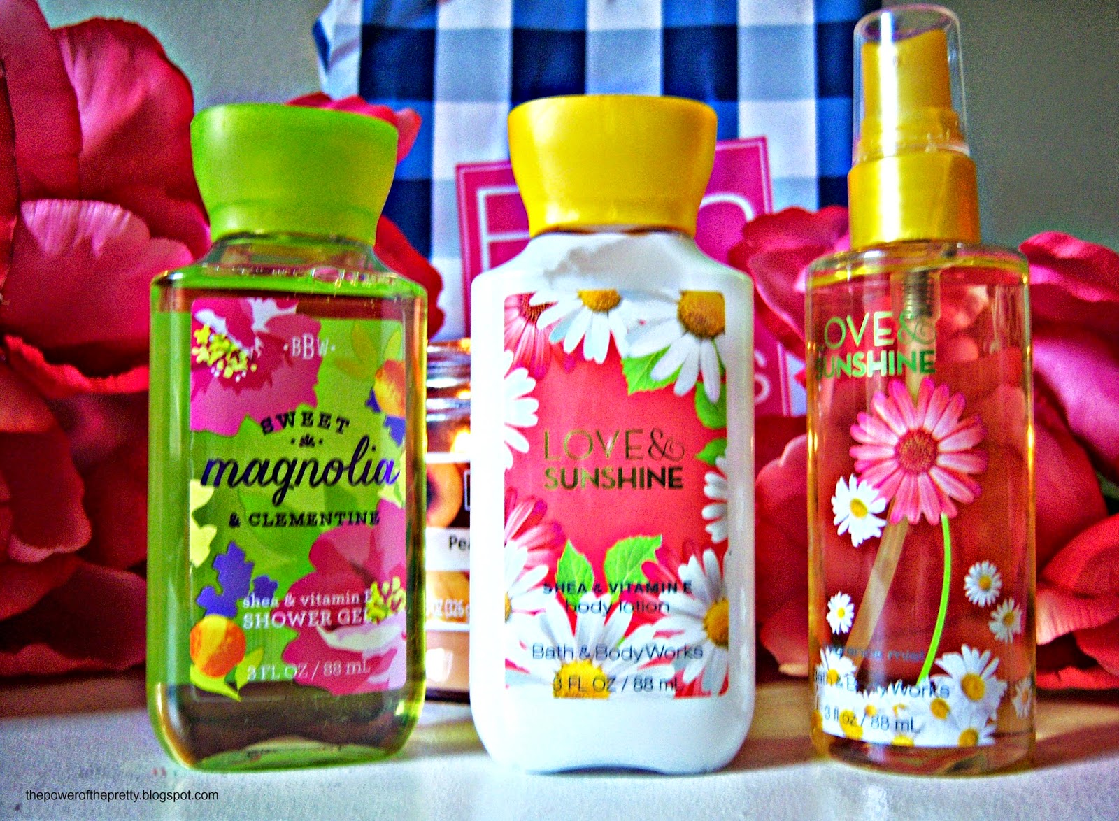 Bath & Body Works Mini Haul