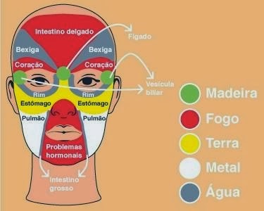 Acupuntura Médica Barão Geraldo: Mapa Reflexológico do Rosto