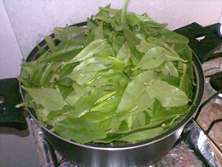 Alimentação Saudável e Segurança Alimentar: Bredo da Semana Santa