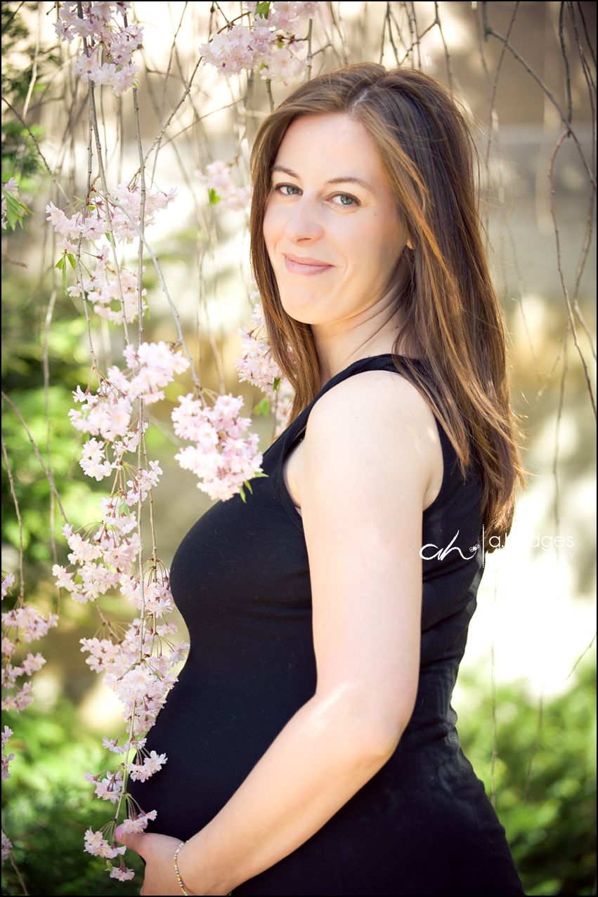 A. Hedges Photography: Maternity Photographer, Delmar New York. Laura's ...