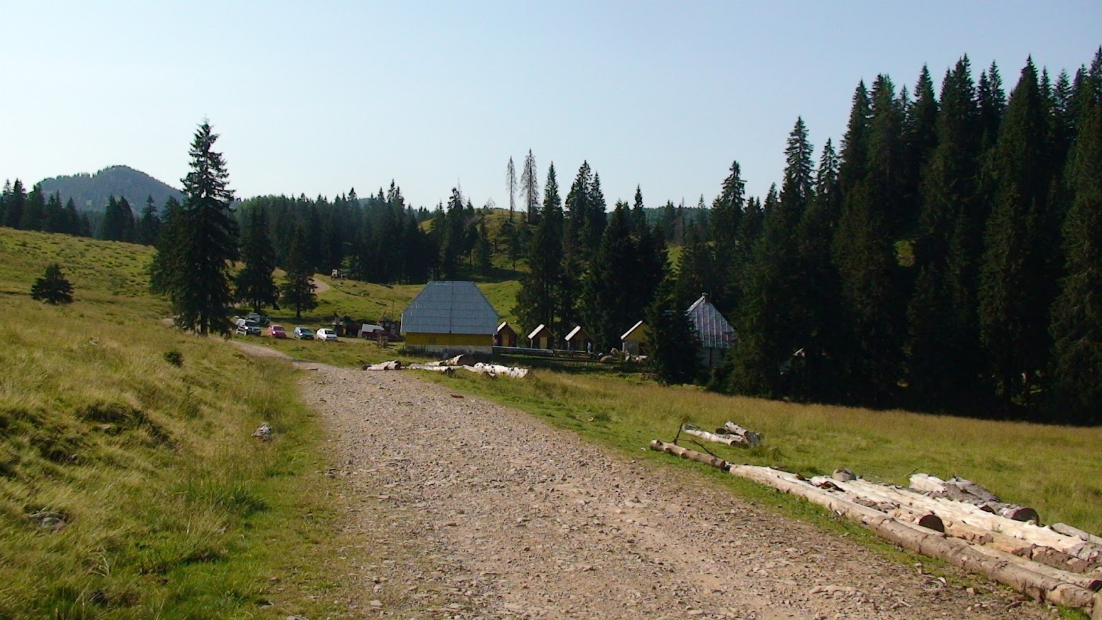 TUDOR PHOTO BLOG: Poiana Varasoaia din Padis - Muntii Apuseni,judetul ...