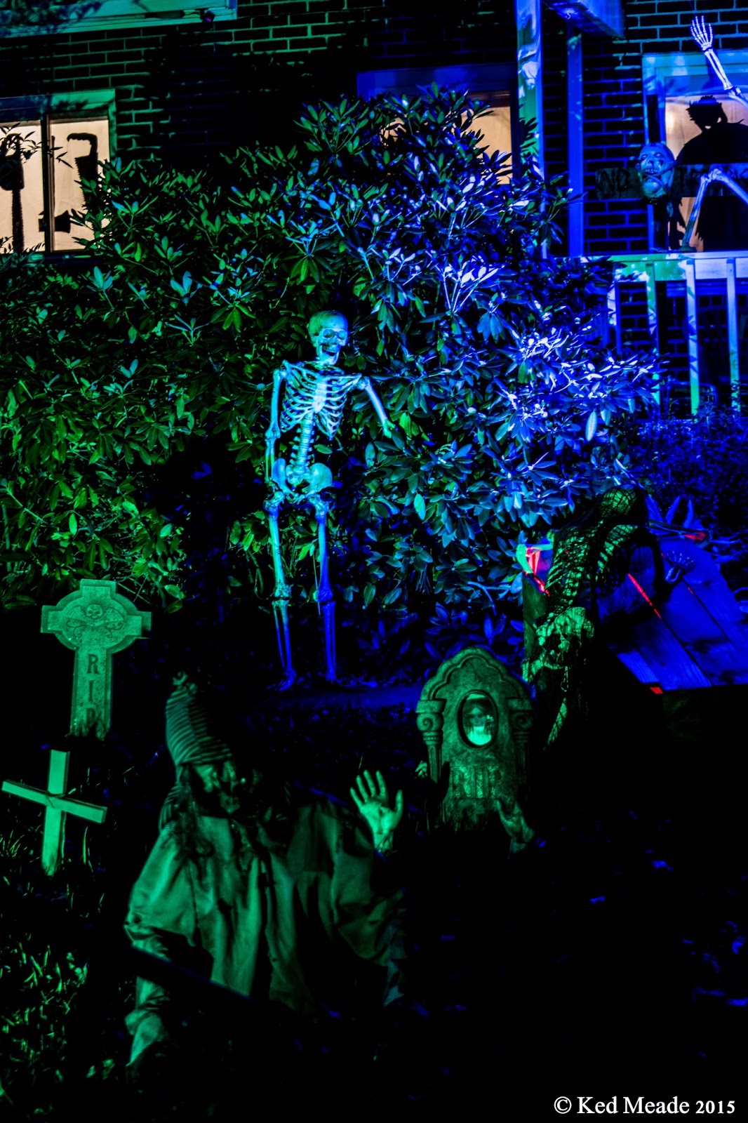 Something wicKED this way comes....: The Skeletons of Wicked Woods ...