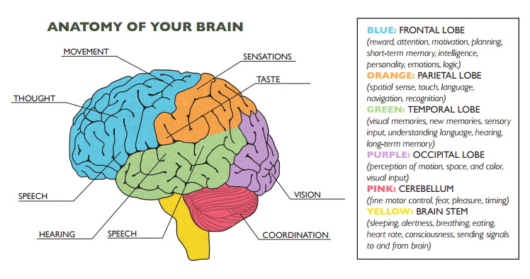 Science and Physical Education: Unit 1: Interaction