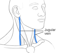 Jeff Searle: The head on the neck and shoulders