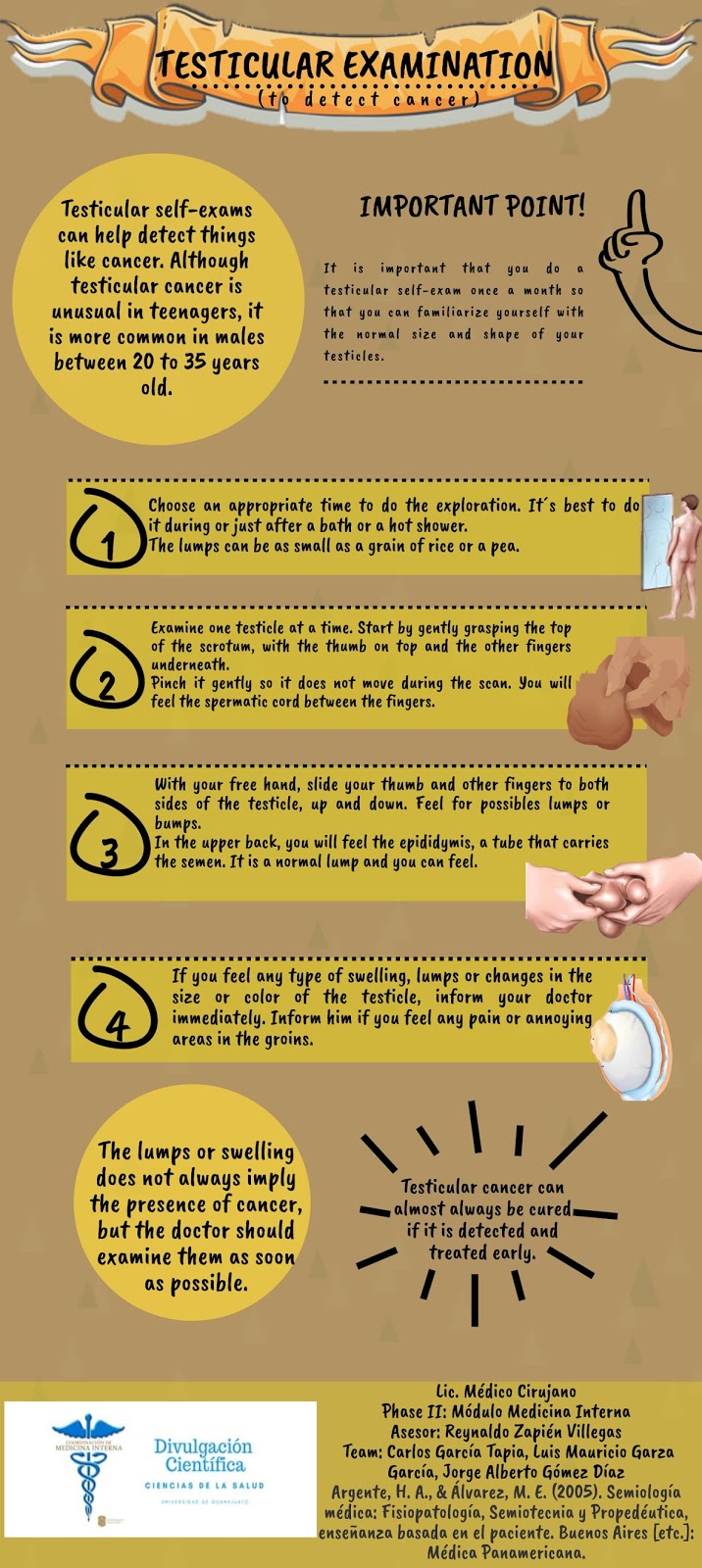 DIVULGACIÓN CIENTÍFICA UG: Testicular examination