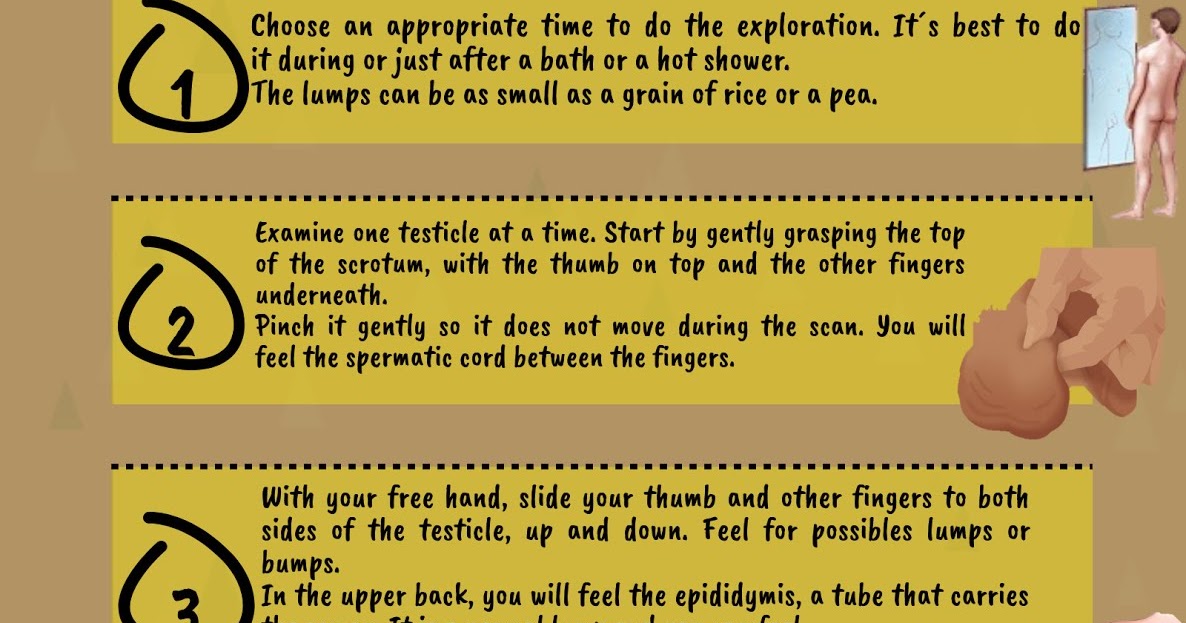 DIVULGACIÓN CIENTÍFICA UG: Testicular examination