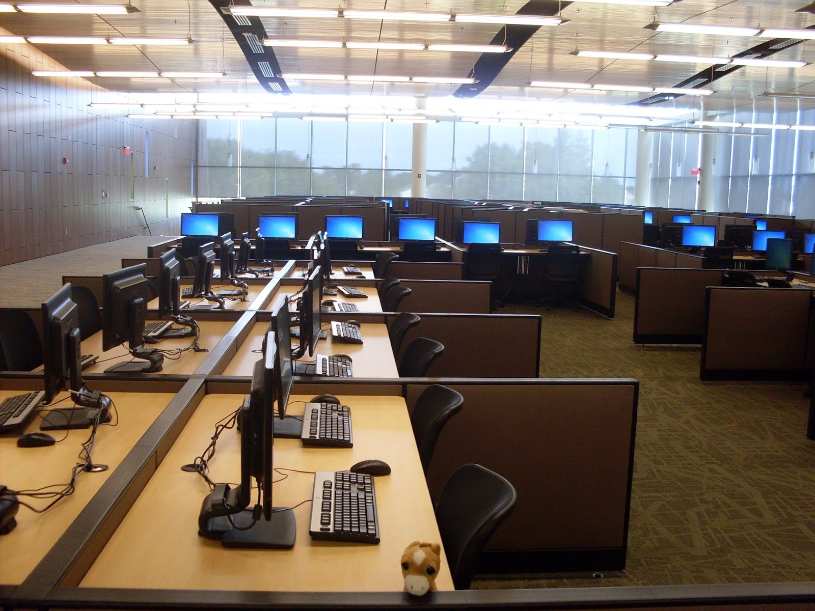 Clyde in Virginia Beach