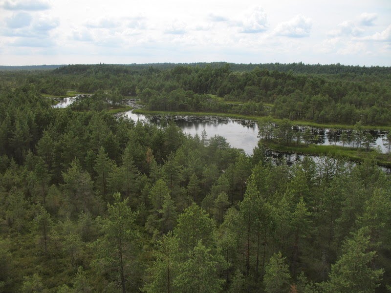 IV c KOOLILUGU: Mukri raba ja Järvakandi klaasimuuseum