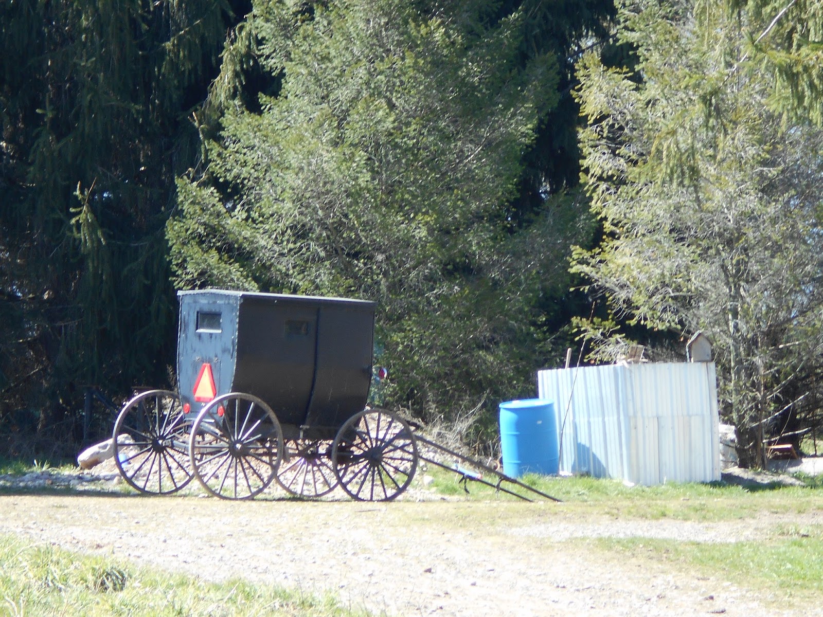 New York State of Mind: AMISH AND OLD ORDER MENNONITE BUGGIES