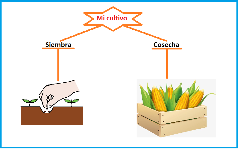miscursos3: La siembra y la cosecha - Emprendimiento agropecuario