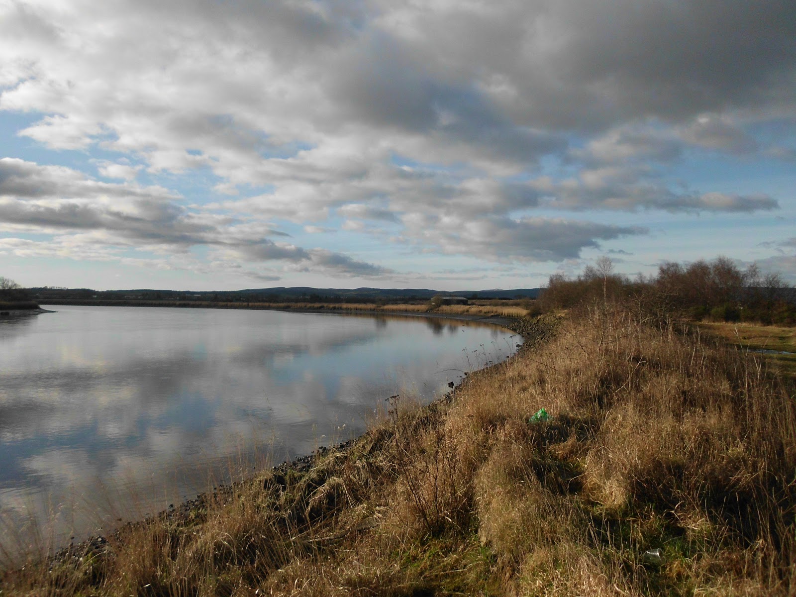 My Daily Walk: Cambus Pools Nature Reserve