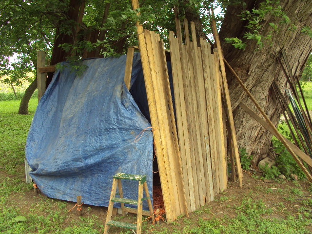Take Joy....Take Peace: Kids and forts