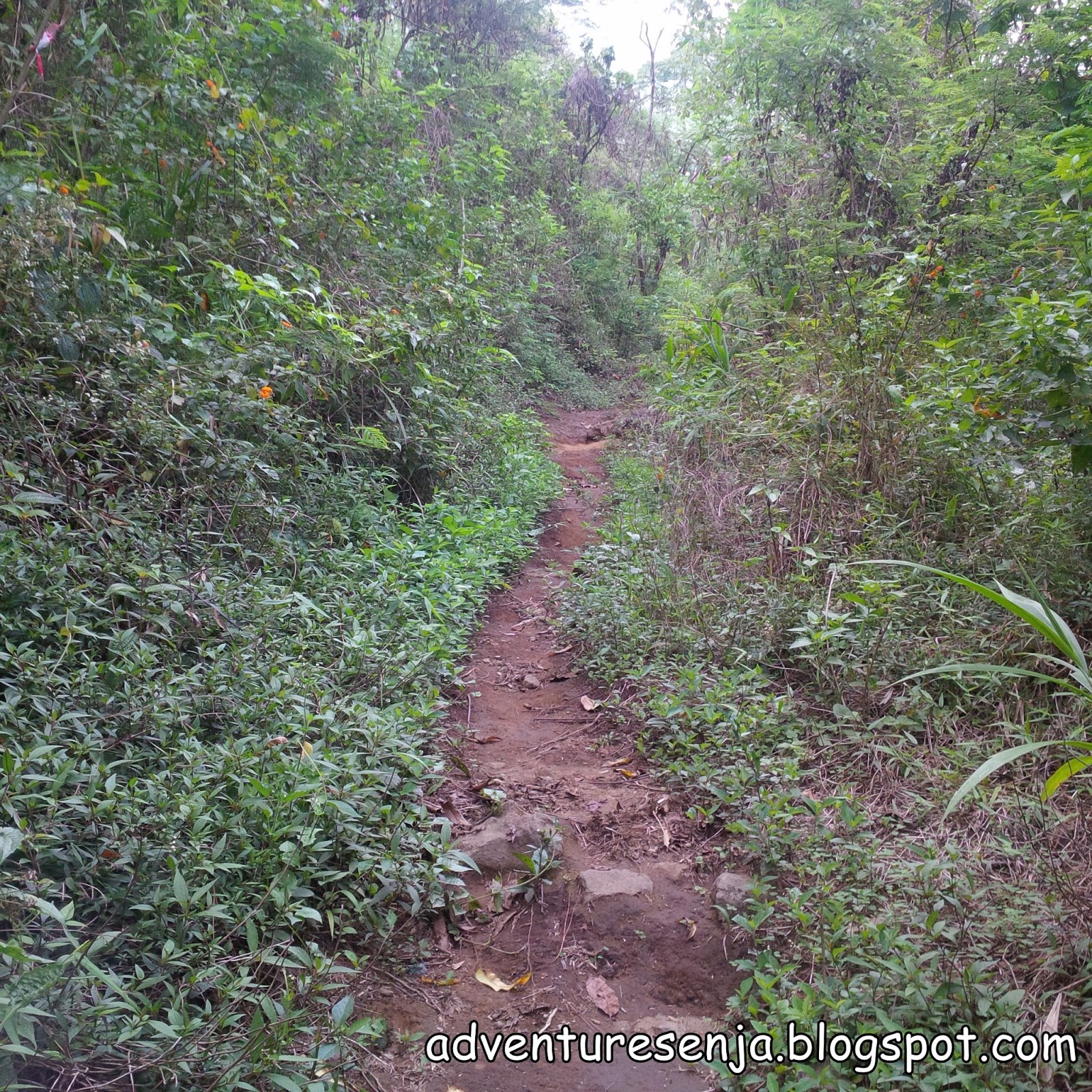 Pendakian Gunung Ciremai via Linggasana Baru (Tidak lewat Linggarjati ...