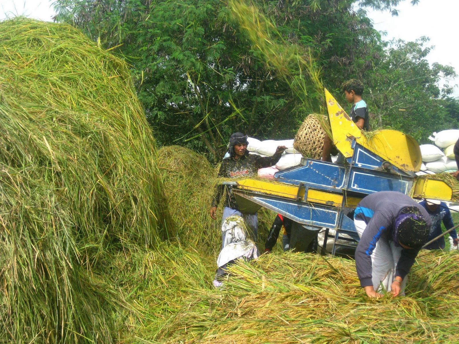 Travel Video: The Farm at San Antonio