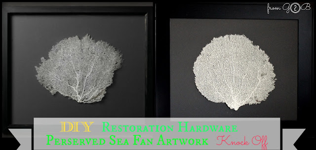 from Gardners 2 Bergers: Restoration Hardware Preserved Sea Fan Artwork