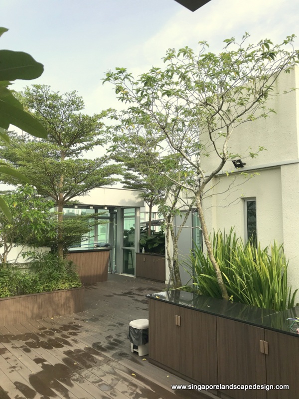 Singapore Landscape Design