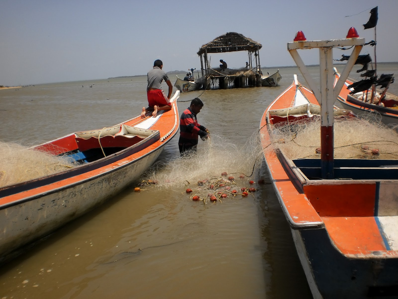 ActionAndEmotion: Isla Zapara- Edo. Zulia