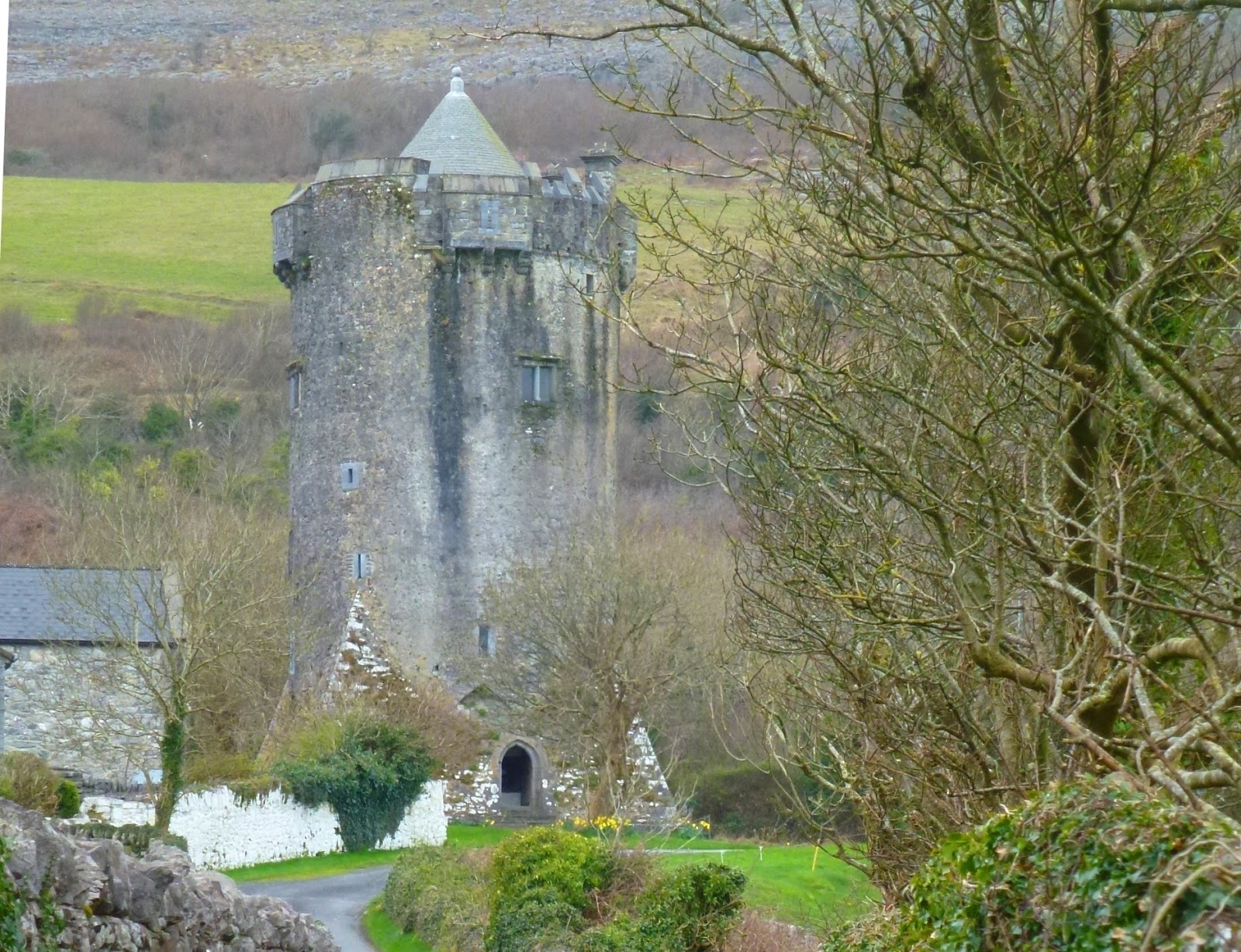 Paddy's Wagon: Colossal Cliffs & Breathtaking Burren