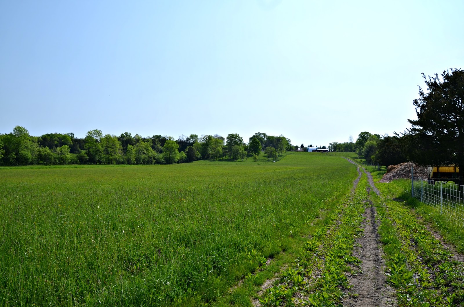 Browsing at Sunny Acres