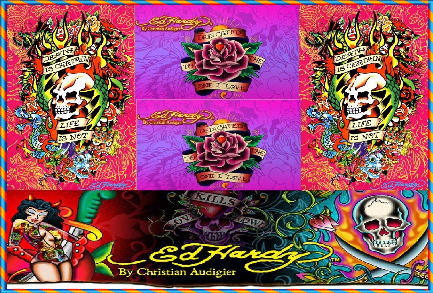 Ed hardy: La vida ed hardy