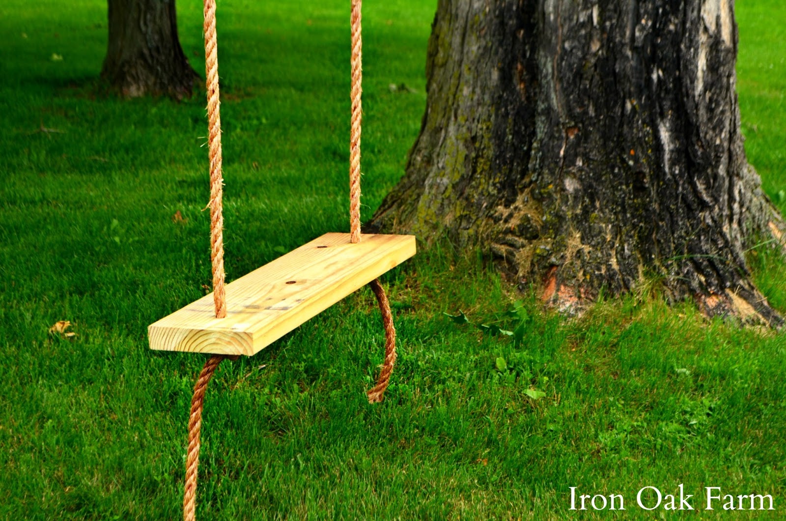 Iron Oak Farm: Farmyard Tree Swing
