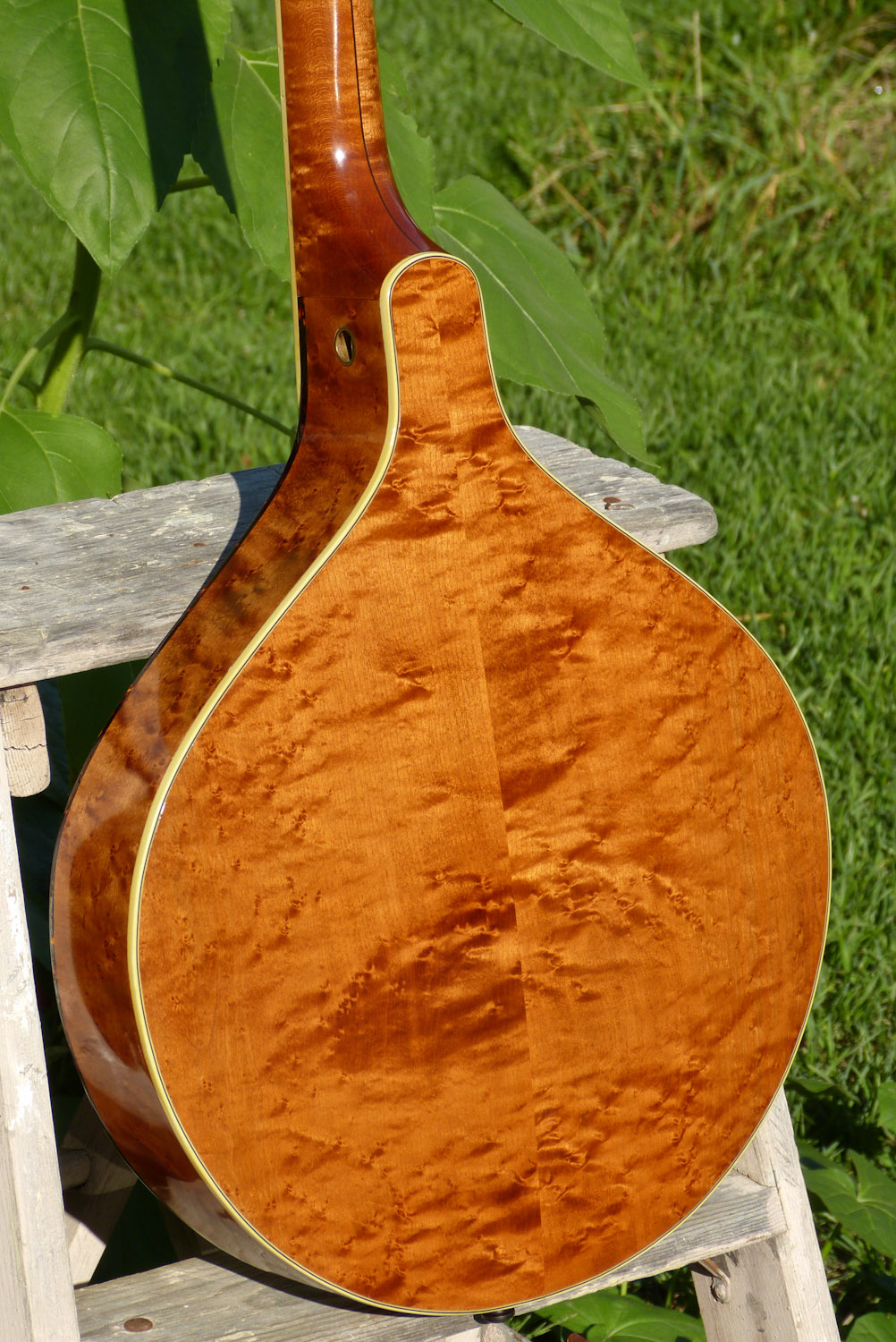 2000 Trillium Octave Mandolin