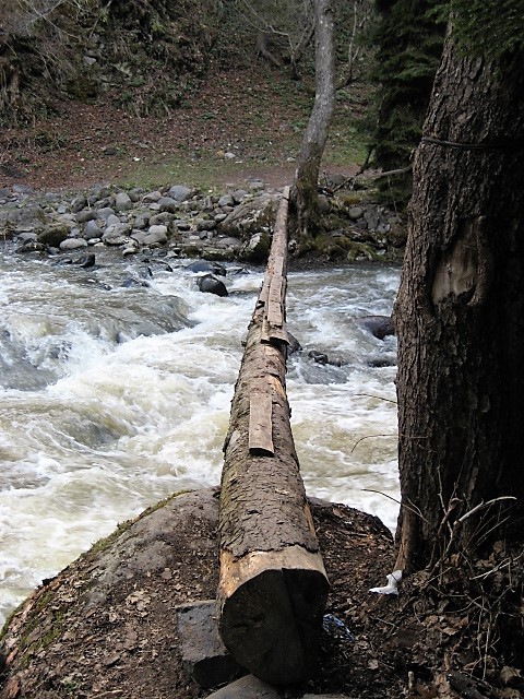 Living Rootless: The Creative Life: The Cinquain