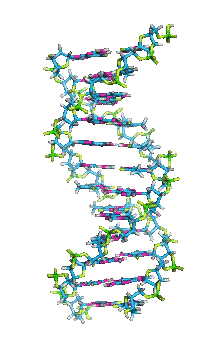 MCQ on Biochemistry - Nucleic acid (DNA)