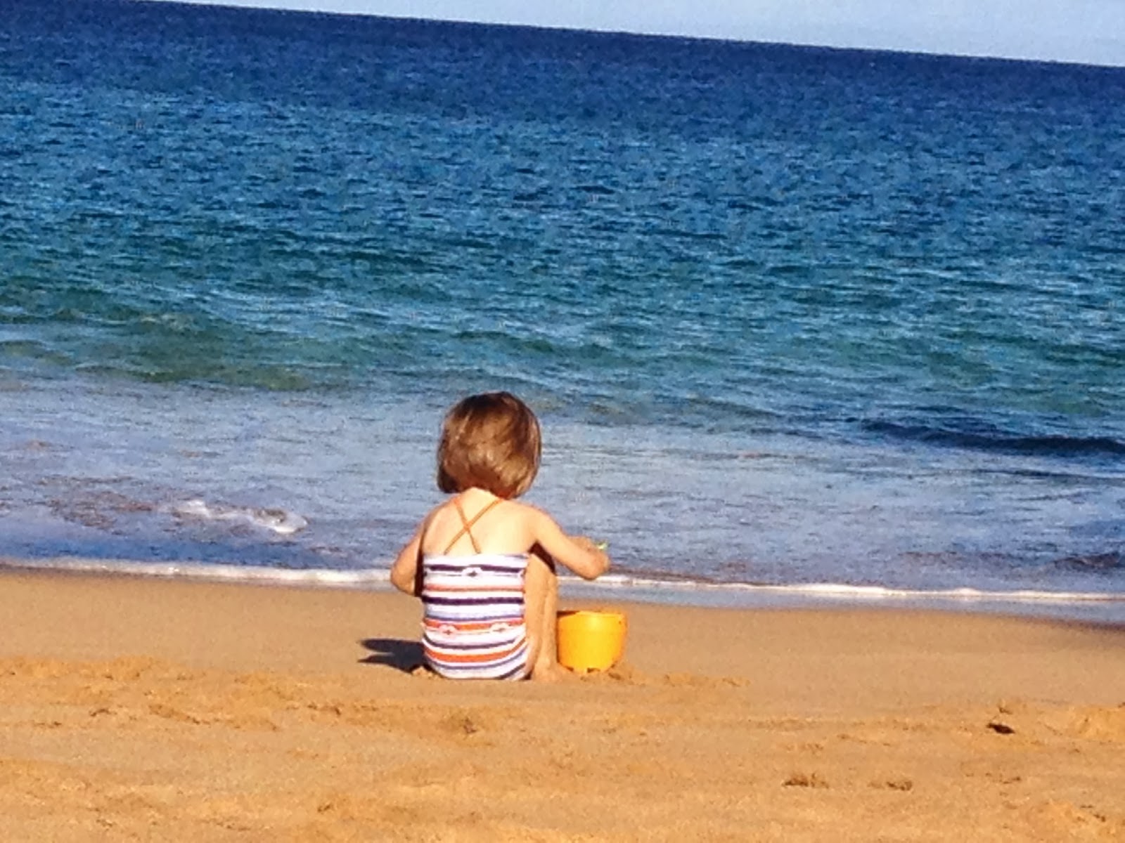 The Quinn-Dunlop Family