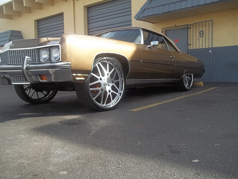 PHOTOGRAPHY BY MIAMIEARL: 73' Vert Squatin on them Forgi's! Miami Style!