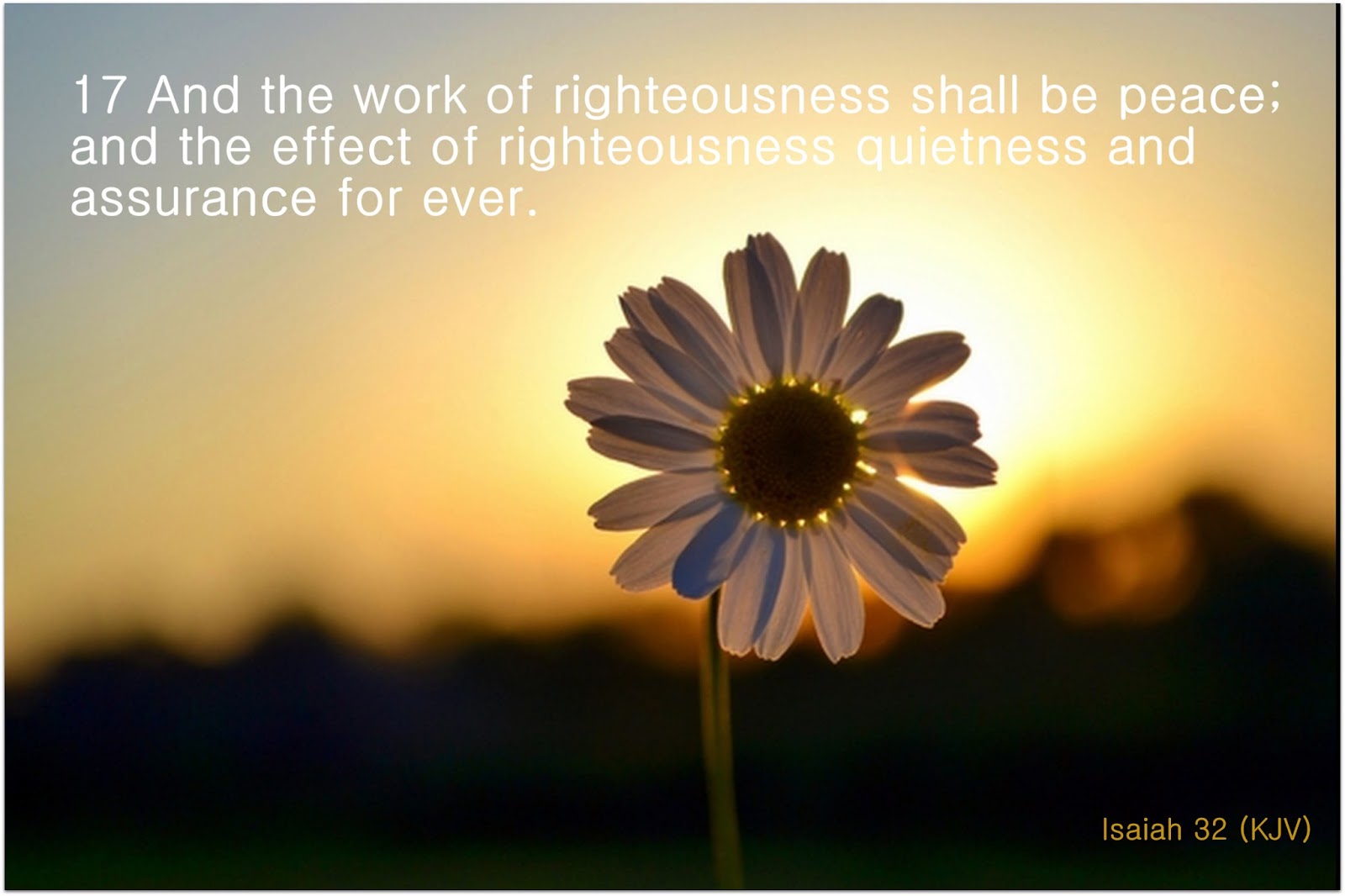 Red Pill Diaries Isaiah 32 KJV red-pill-diaries-isaiah-32-kjv