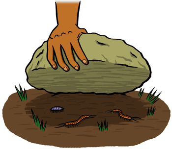 scrippix: January 2014