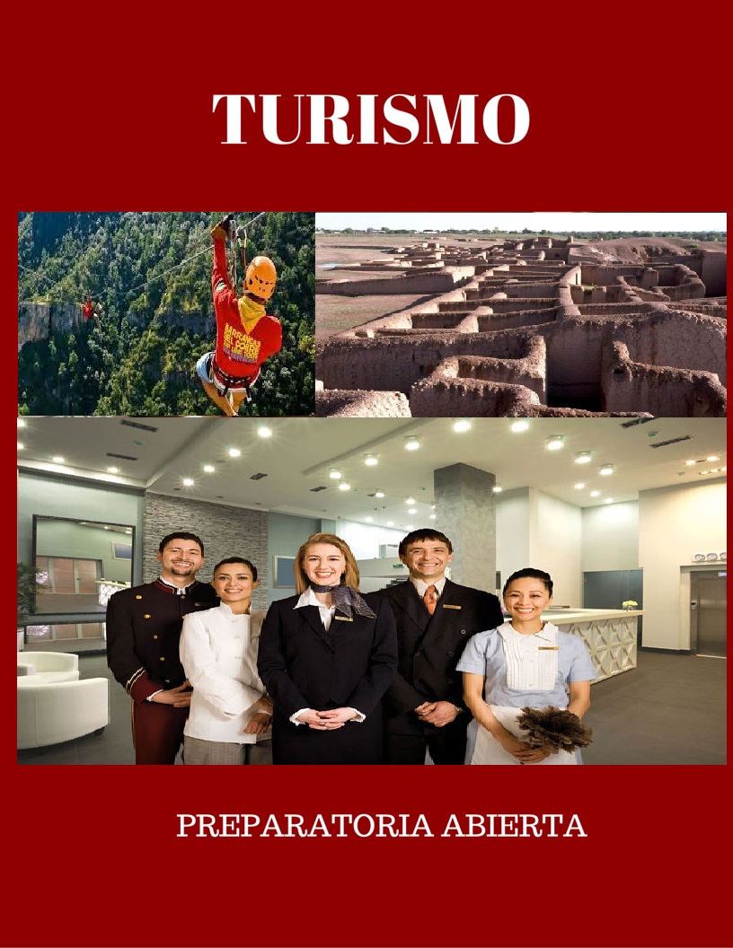 PREPARATORIA ABIERTA NUPLES (SEP): ARCHIVOS DEL COMPONENTE PROFESIONAL ...