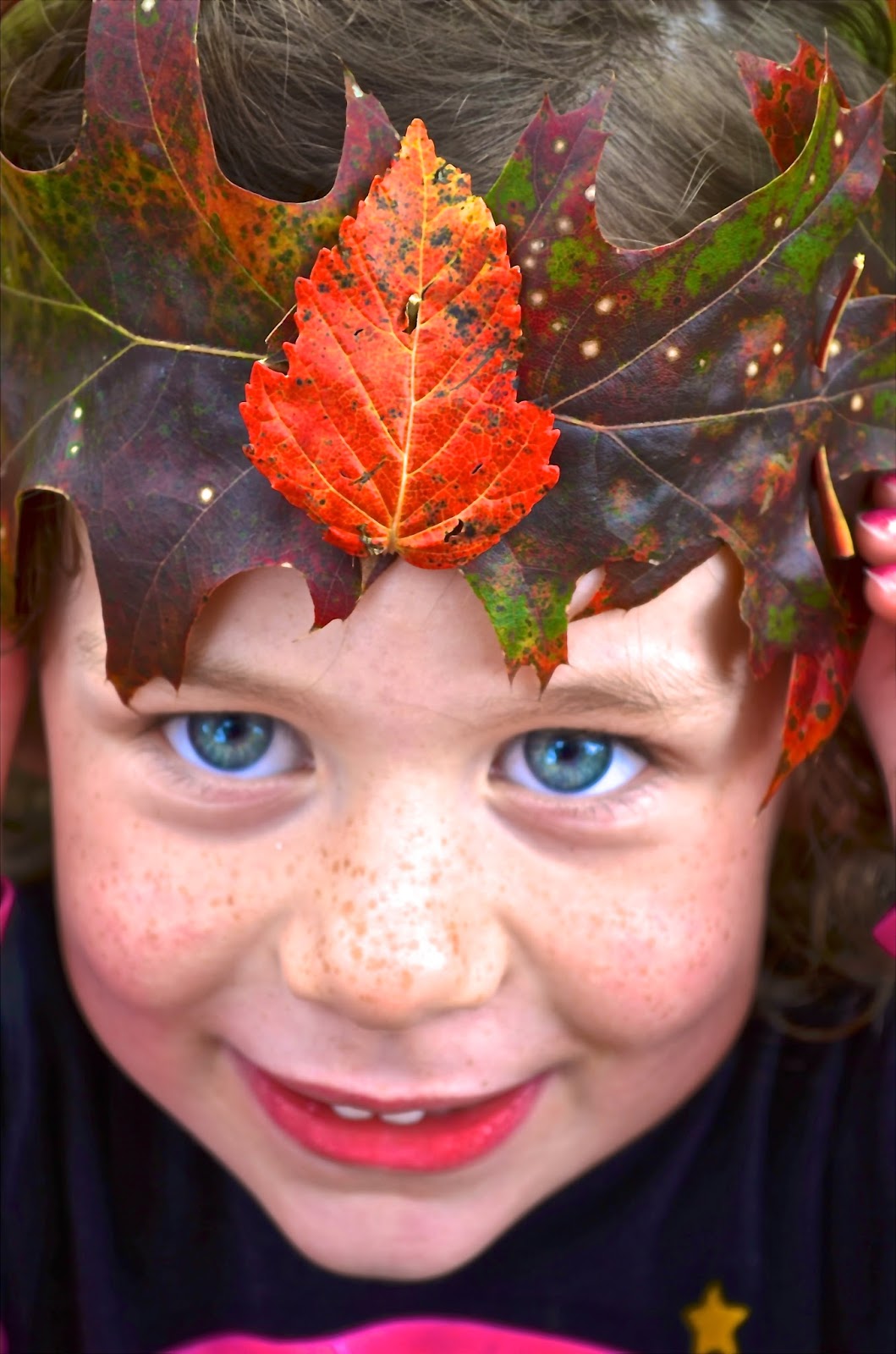 Twig and Toadstool: Simple Autumn Leaf Crowns!