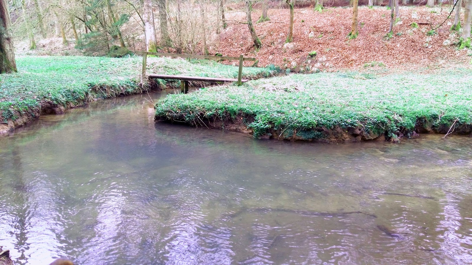 Cotswolds Travel: A Foggy Spring Round Miserden and Caudle Green