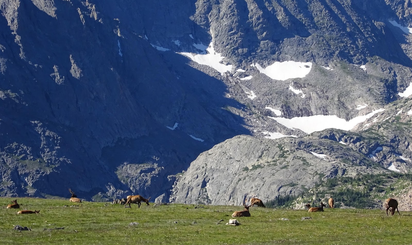 Colorado Triple Crown: 2015 Tim Kalisch Memorial Grand Loop Recap ...