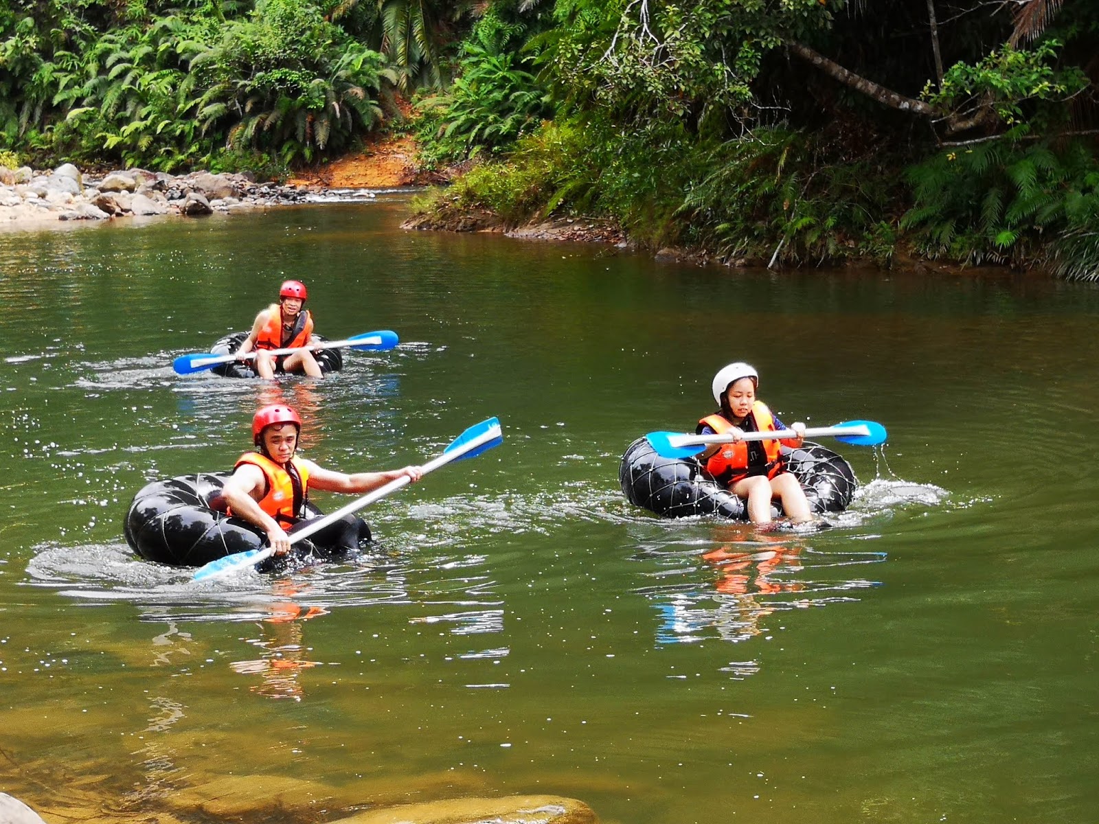 2D1N Endau-Rompin National Park via Selai : Waterfalls Paradise ...